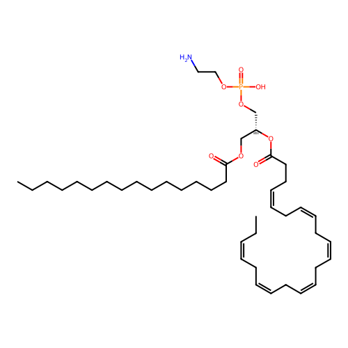 Phosphatidylethanolamine Structure